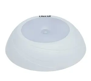 LITEZALL Motion Activated Ceiling Light