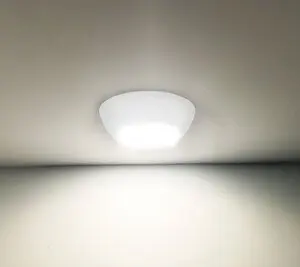 LITEZALL Motion Activated Ceiling Light