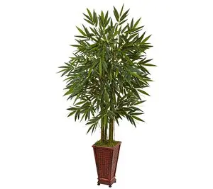 NEARLY NATURAL 5.5' Bamboo Tree In Decorative Planter Nearl Y Natural - One-color