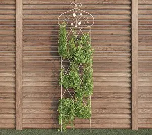 PURE GARDEN 63' Decorative Trellis For Climbing Plants - One-color