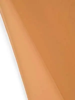 Alberta Ferretti Chiffon Silk Scarf