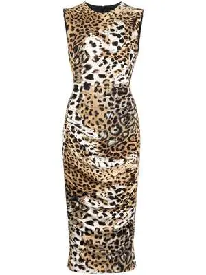 Roberto Cavalli Jaguar-print Midi Dress