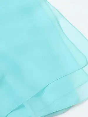 Alberta Ferretti Neck Scarf