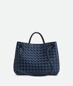 Bottega Veneta Medium Andiamo Top Handle Bag