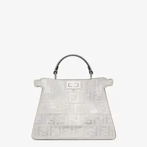 Fendi Peekaboo ISeeU Small Bag Silver