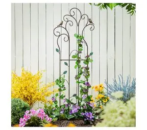 EVERGREEN Trellis With Birds And Scrolls - One-color