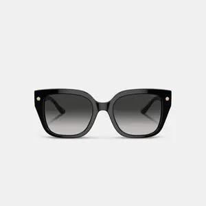 COACH Charms Oversized Square Sunglasses