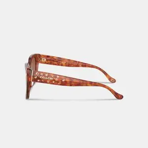 COACH® Charms Oversized Square Sunglasses - Caramel Tortoise