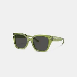 COACH® Charms Oversized Square Sunglasses Green