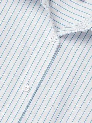 Carolina Herrera Oversized Striped Cotton-poplin Shirt