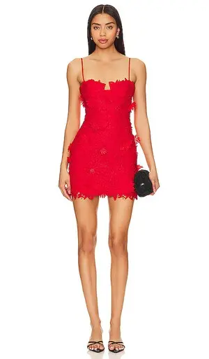 Bardot Bustier Dresses