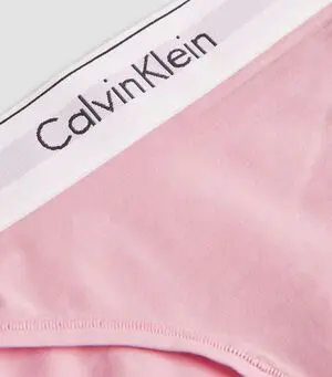 Calvin Klein Modern Cotton Briefs