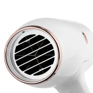 T3 Aireluxe Professional Hair Dryer Set