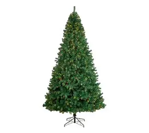NEARLY NATURAL 11' Christmas Tree With 1000 Cle Ar Led Lights - One-color