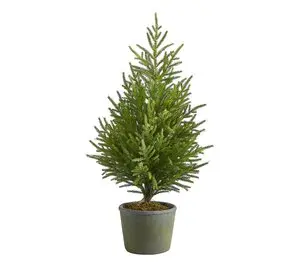 NEARLY NATURAL 3' Norfolk Island Pine 'natural Look' Tree