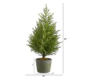 NEARLY NATURAL 3' Norfolk Island Pine 'natural Look' Tree