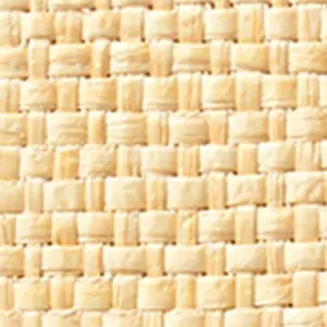 ASPINAL OF LONDON Raffia Mayfair Midi Bag