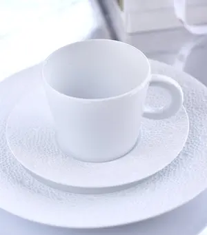 Bernardaud Ecume Teacup And Saucer - White