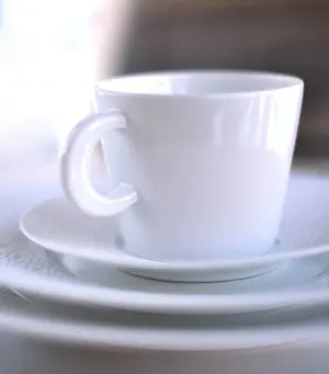 Bernardaud Ecume Teacup And Saucer - White