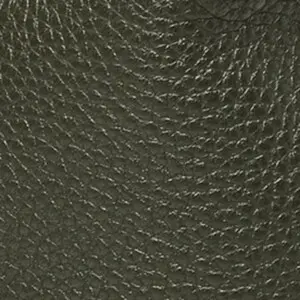 ASPINAL OF LONDON Soho Leather Cross-body Pouch - Green