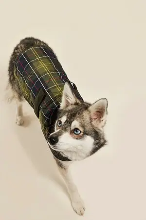 Barbour Tartan Dog Coat - Classic