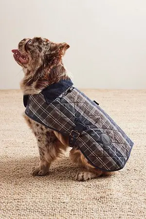 Barbour Tartan Dog Coat - Midnight Oak