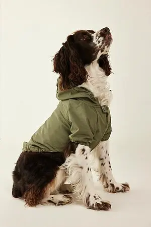 LAMBWOLF Brooklyn Packable Dog Jacket