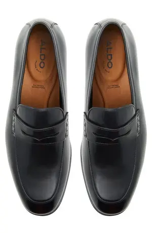 Aldo Darris Penny Loafer