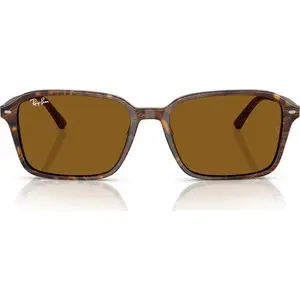 Ray-ban Ray-Ban 56mm Square Frame Sunglasses Brown