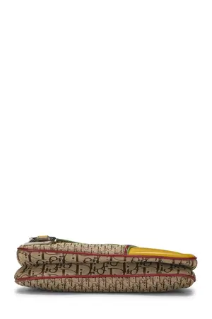 Dior Trotter Canvas Rasta Double Saddle Bag - Beige