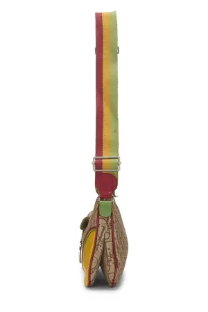Dior Trotter Canvas Rasta Double Saddle Bag