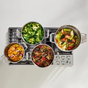 ALL-CLAD Simply Strain Steel 12 Quart Multipot With Insert