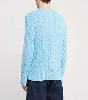 Polo Ralph Lauren Cotton Cable-knit Sweater - Blue