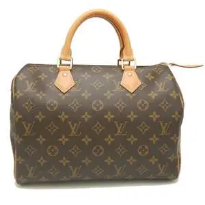 LOUIS VUITTON Louis Vuitton Speedy Tote Bag - Brown