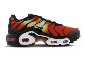 Nike Air Max Plus Sneakers