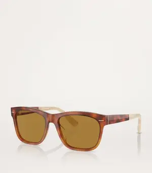 Brunello Cucinelli Acetate Bc4003s Sunglasses - Brown