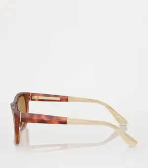Brunello Cucinelli Acetate Bc4003s Sunglasses - Brown