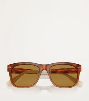 Brunello Cucinelli Acetate Bc4003s Sunglasses - Brown