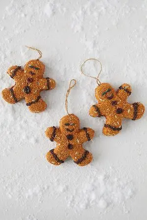 MR. BIRD Terra Bird Seed Ggerbread Set Of 3