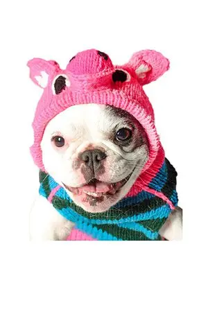 CHILLY DOG Piggy Dog Sweater