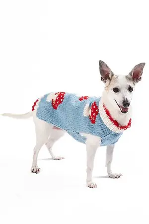 CHILLY DOG Mushroom Dog Sweater