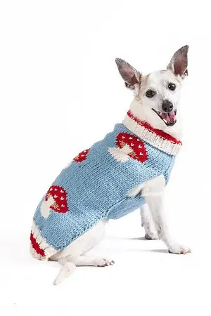 CHILLY DOG Mushroom Dog Sweater