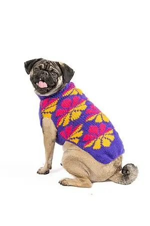 CHILLY DOG Flower Power Dog Sweater