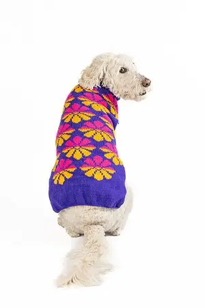 CHILLY DOG Flower Power Dog Sweater