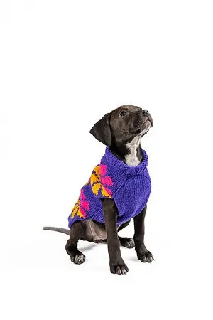 CHILLY DOG Flower Power Dog Sweater