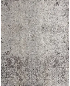 FEIZY Sarrant 3964f Area Rug, 2' X 3