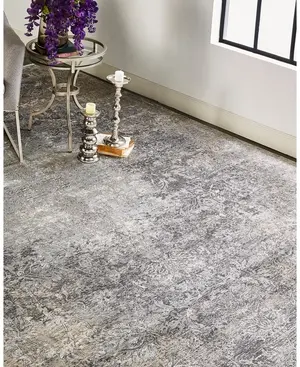 FEIZY Sarrant 3964f Area Rug, 2' X 3