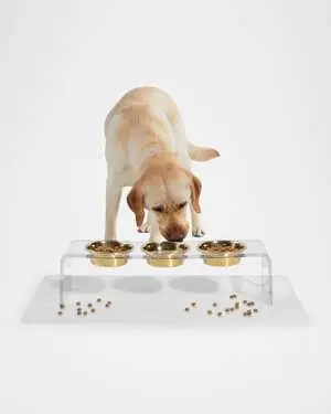 HIDDIN Medium Triple Bowl Pet Feeder, 1 Quart - Clear/gold