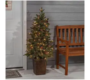 STERLING Charming 4ft Potted Natural Cut Georgia Pine Co - One-color
