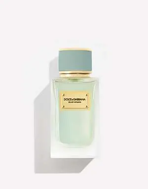 Dolce & Gabbana Velvet Infusion Eau De Parfum - -